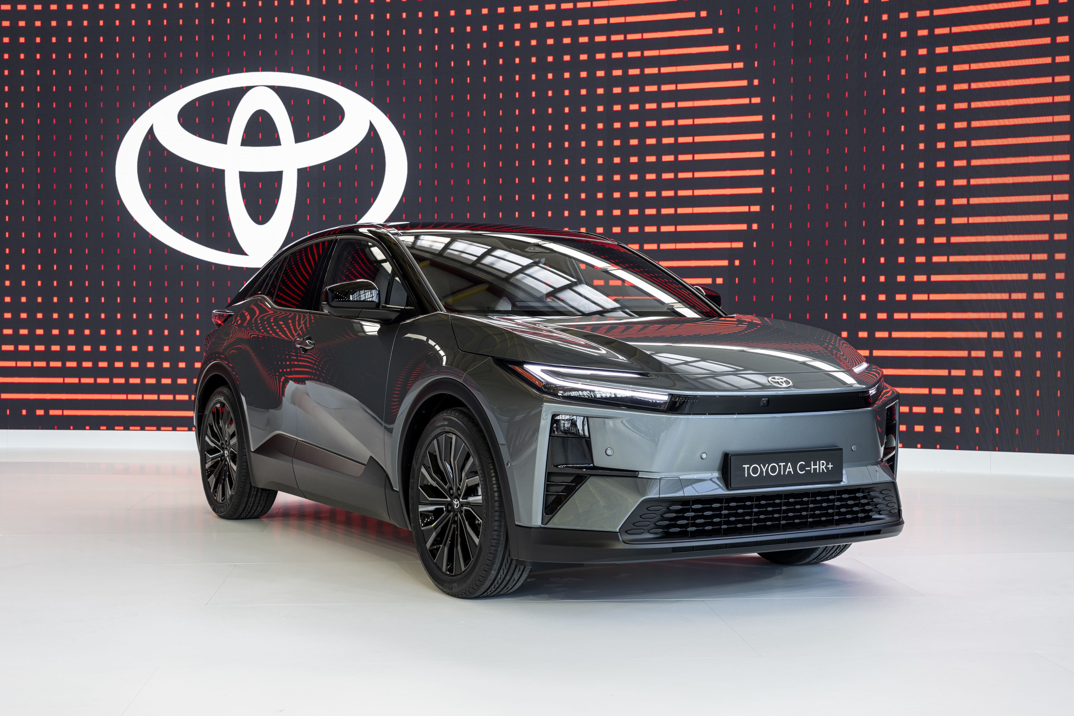 Company Car in Action 2025: official show guide